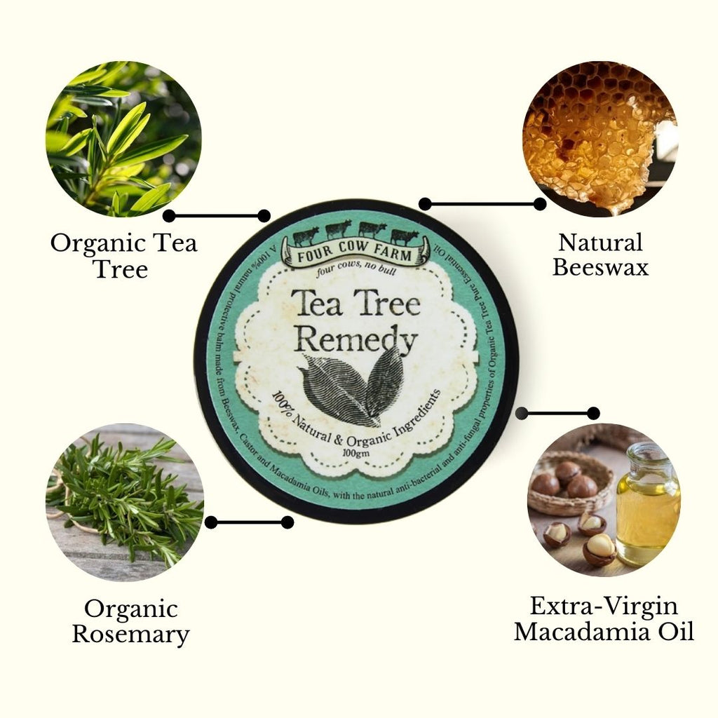Tea Tree Remedy Balm (Small) 50gm – Four Cow Farm Australia